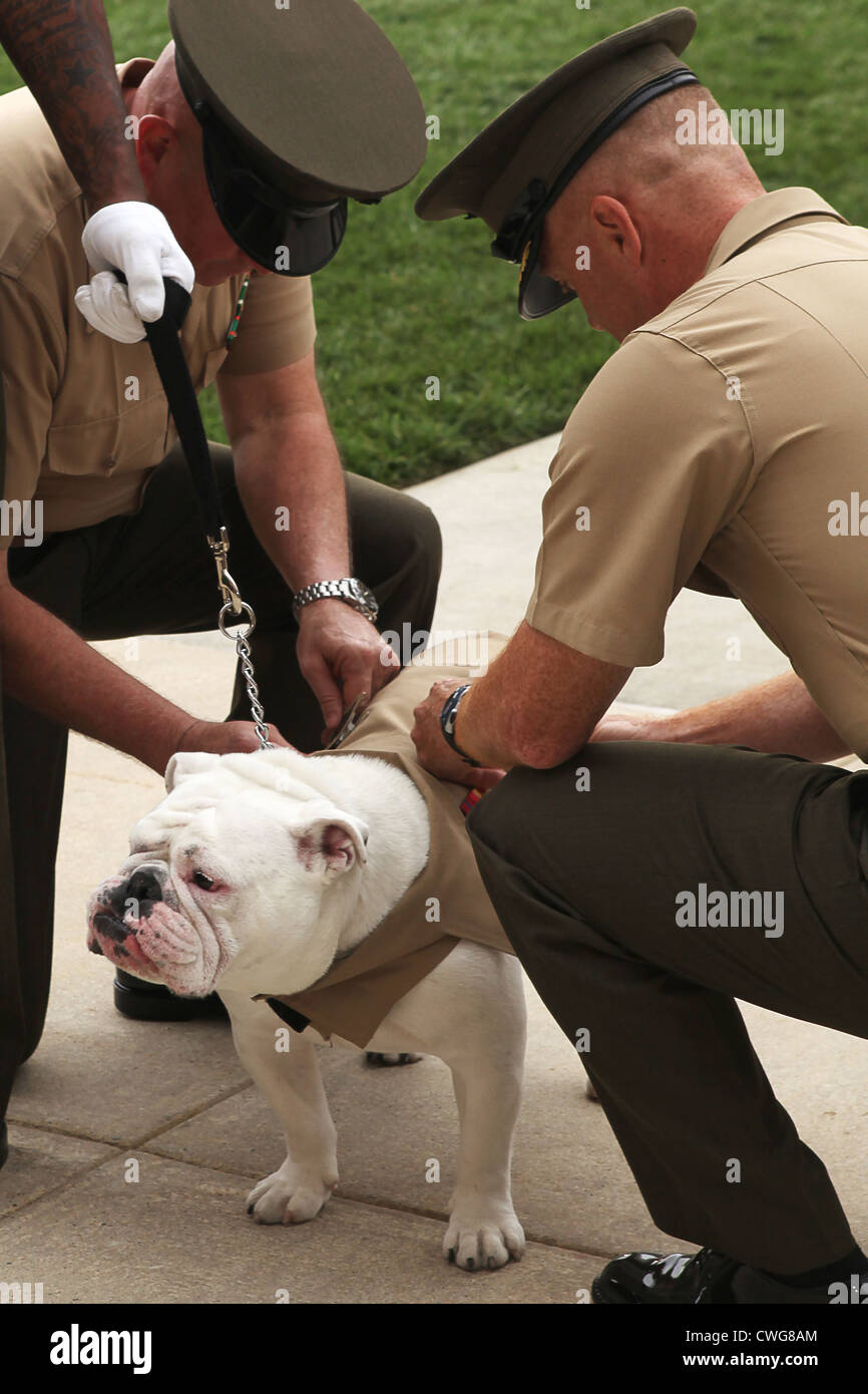 Marine corps rank hi-res stock photography and images - Alamy
