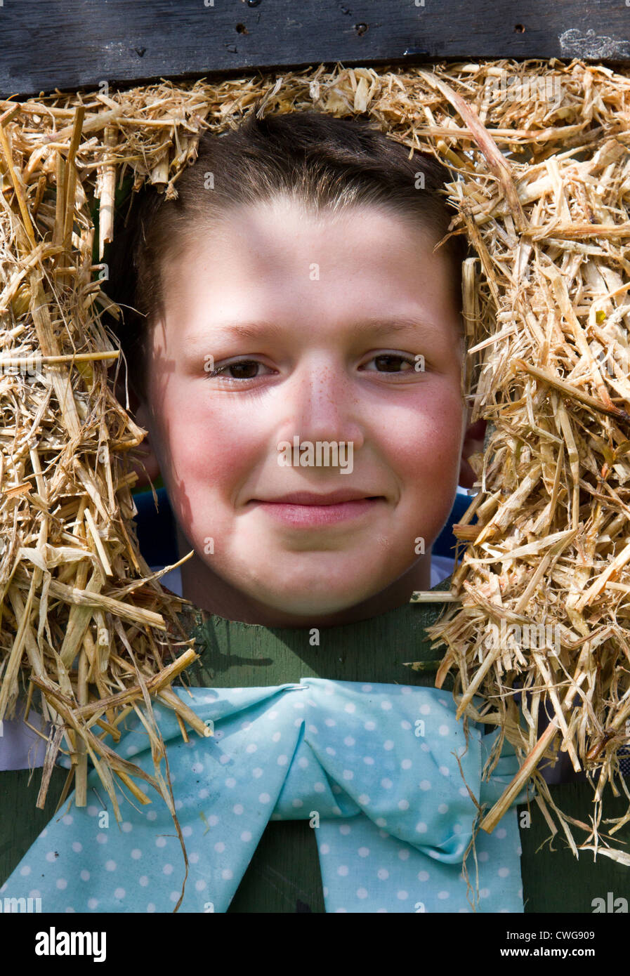 Straw stuffed bird frightener hi-res stock photography and images - Alamy