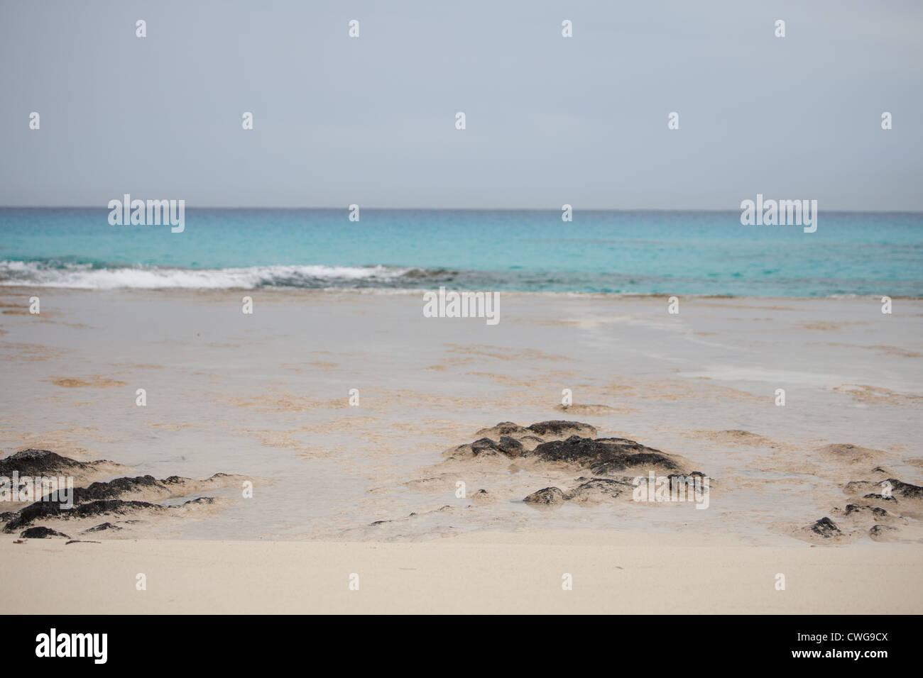 Matruh, egypt hi-res stock photography and images - Alamy
