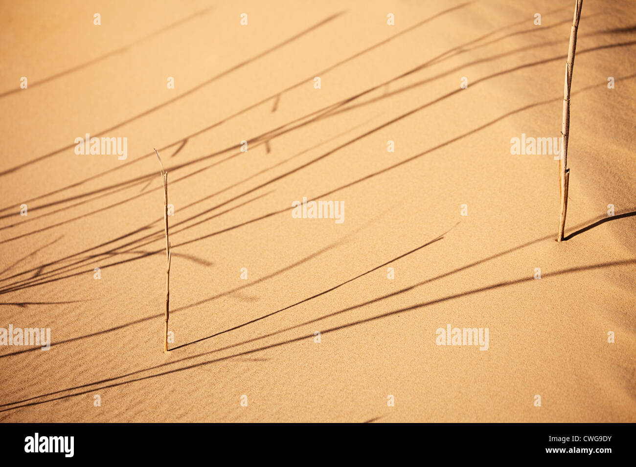 abstract sand background with sunlight Stock Photo - Alamy
