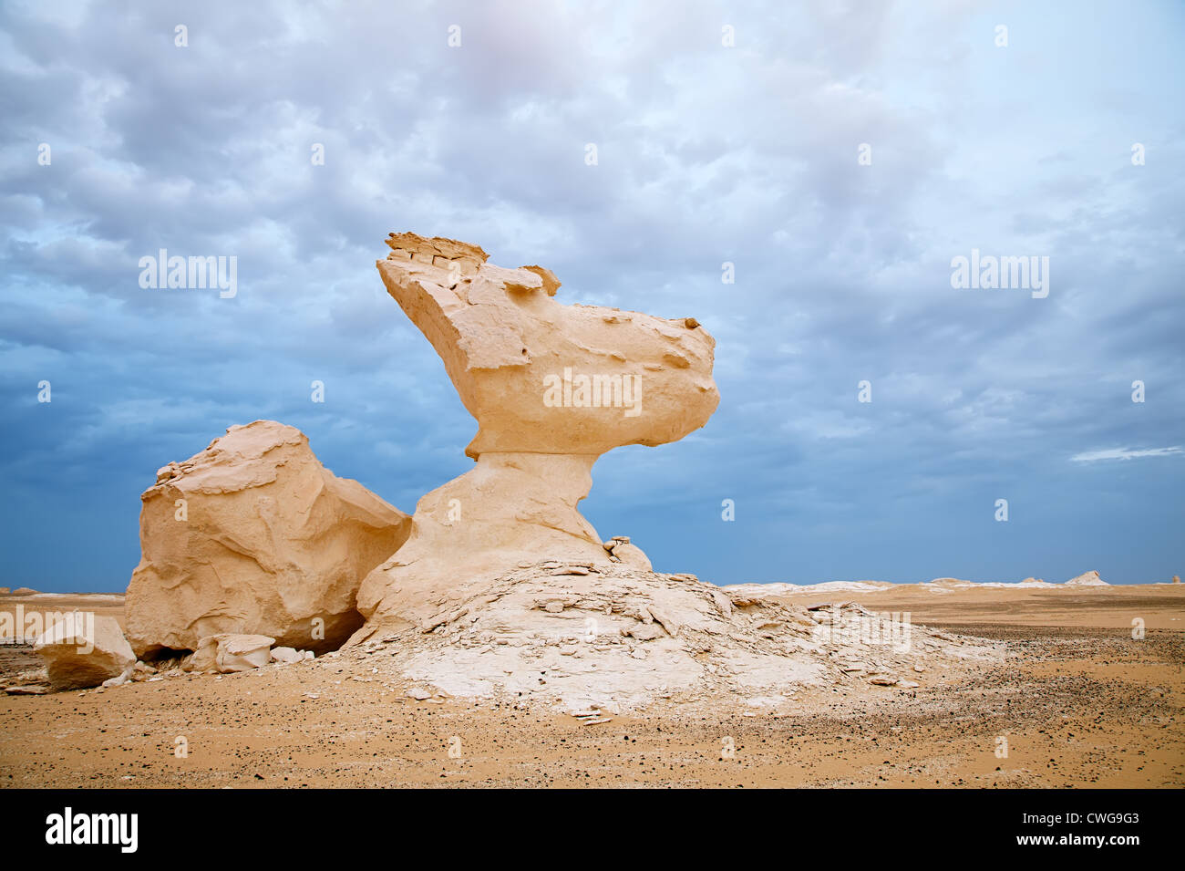The limestone formation rocks in the White Desert, Egypt Stock Photo ...