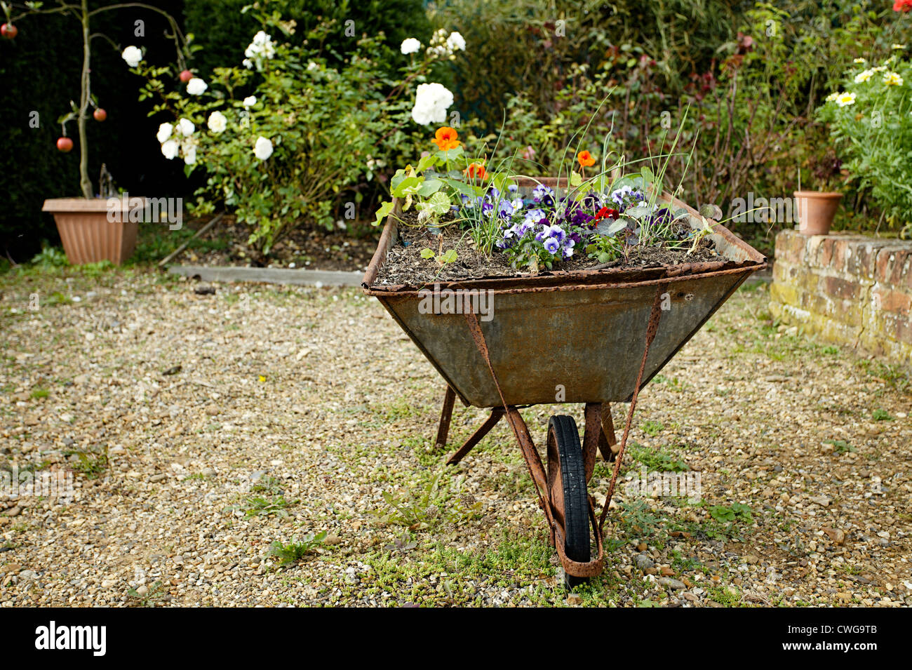 decorative garden wheelbarrow with flowers Stock Photo - Alamy