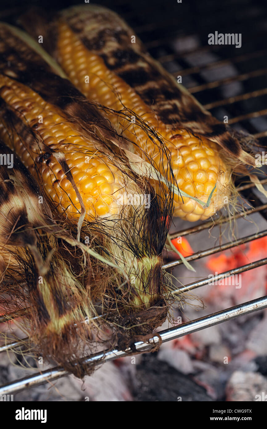 bbq sweetcorn with leaves, shallow dof Stock Photo - Alamy