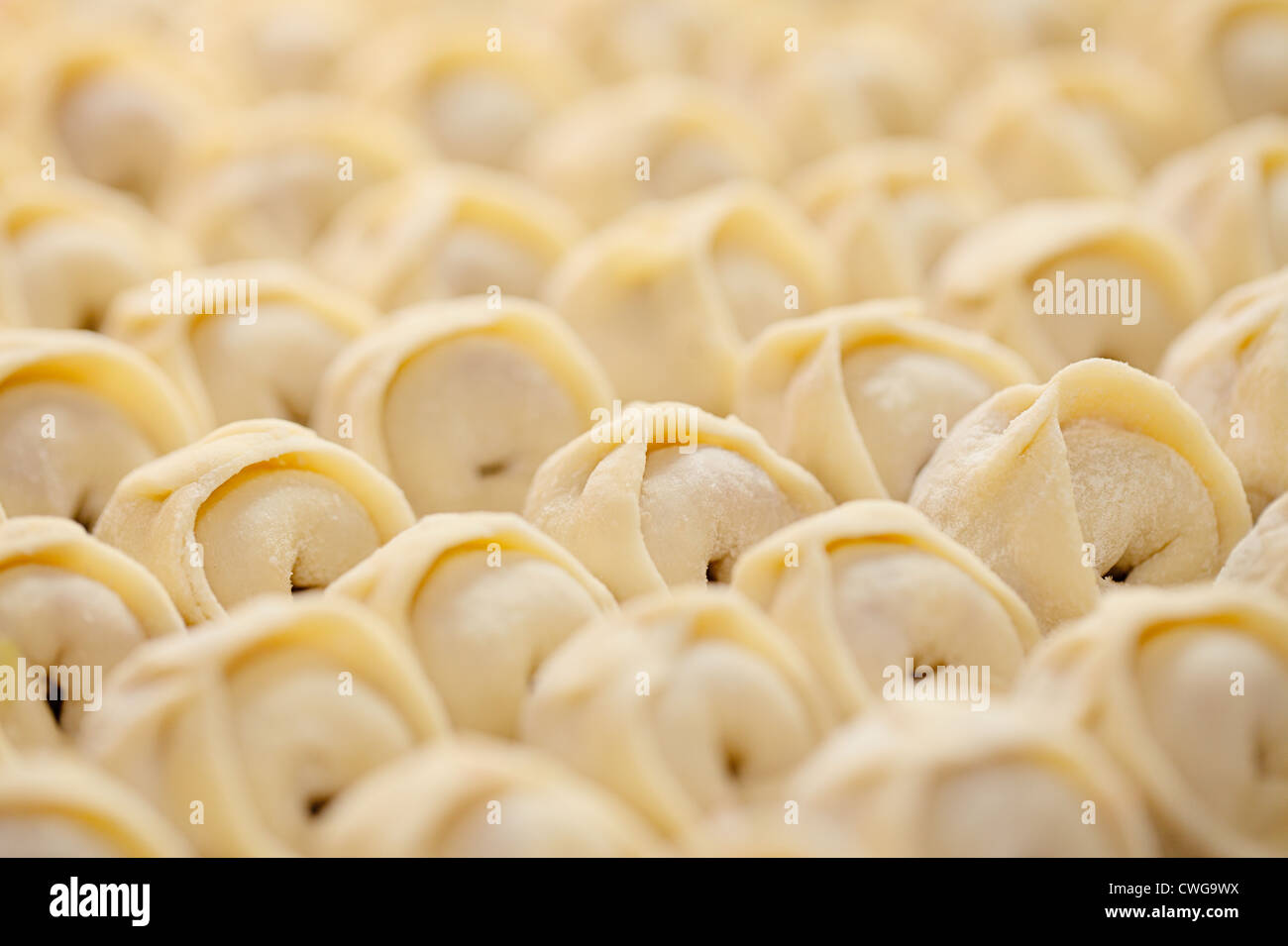 russian dumplings, meat wrapped with pastry Stock Photo - Alamy