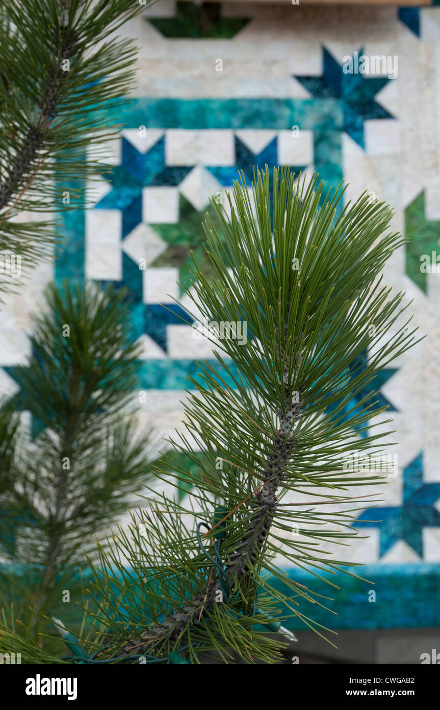 Tree display hi-res stock photography and images - Alamy