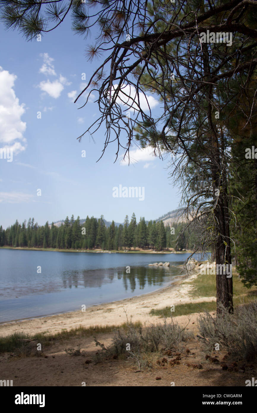 Antelope Lake in Northern California with clear blue skies and clear ...