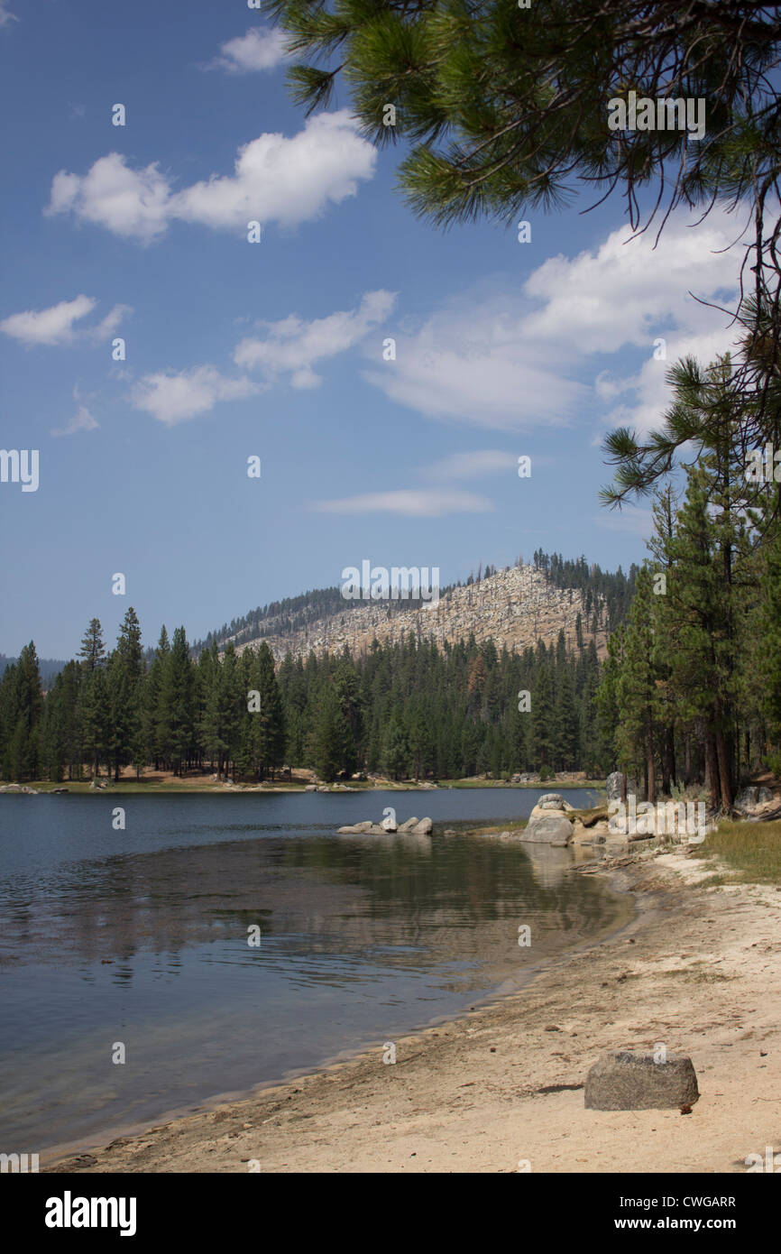 Antelope Lake in Northern California with pine trees and blue skies ...