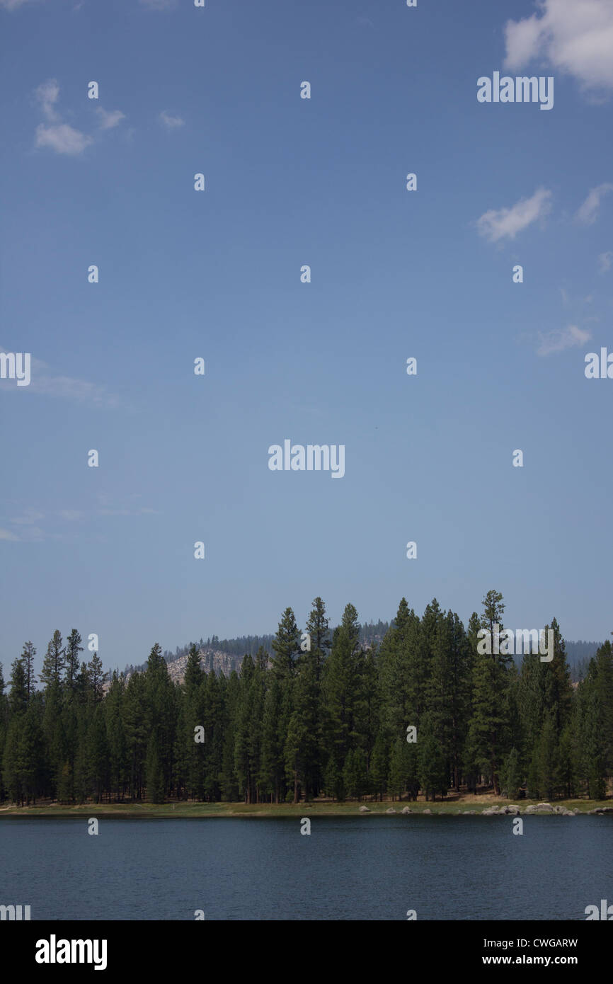 Antelope Lake in Northern California with pine trees and blue skies ...
