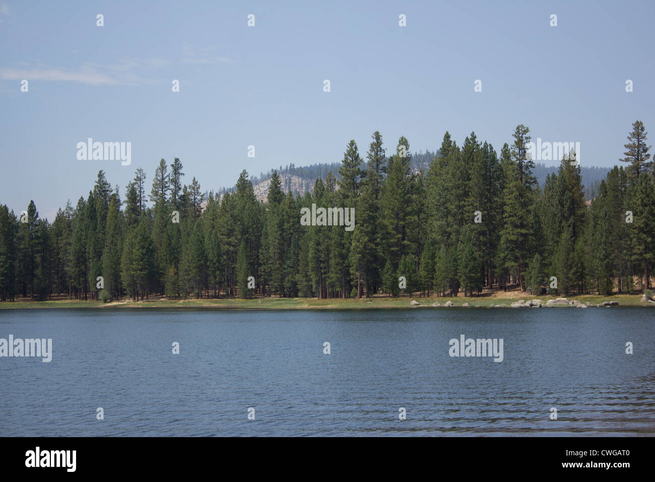 Antelope Lake in Northern California with pine trees and blue skies ...