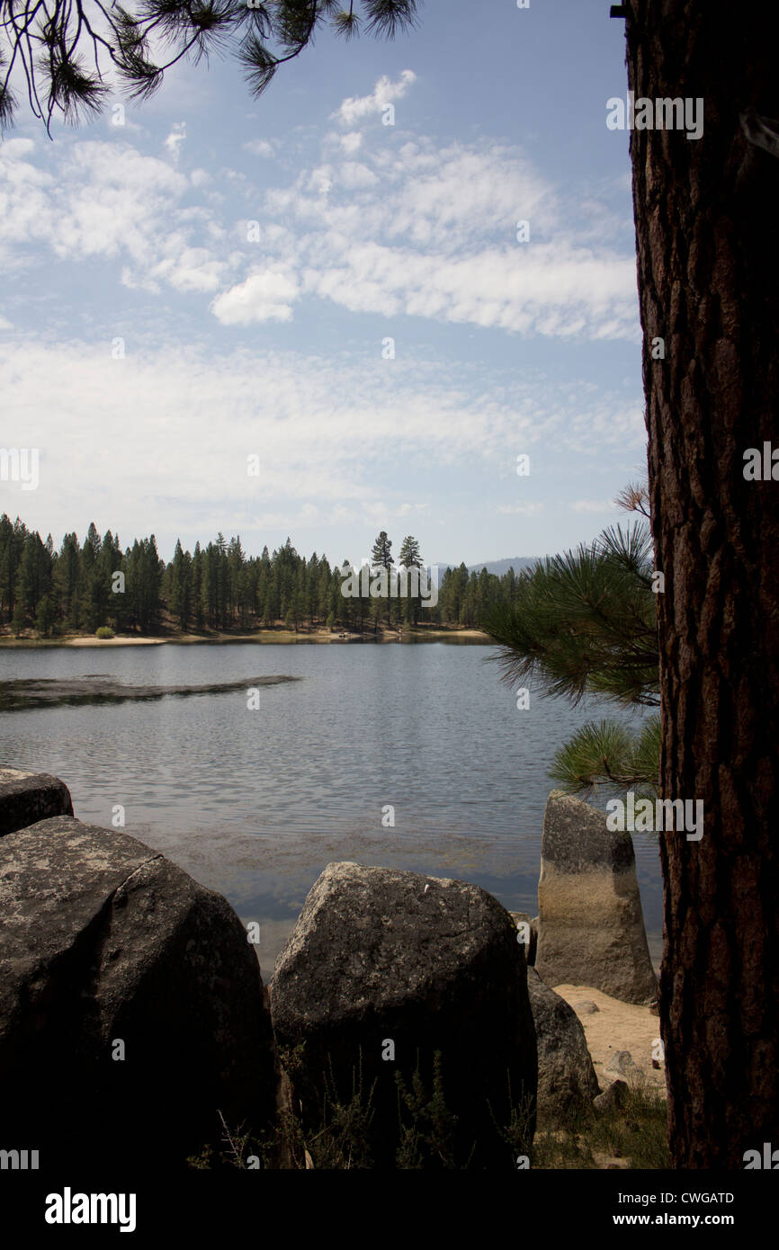 Antelope Lake in Northern California with pine trees and blue skies ...