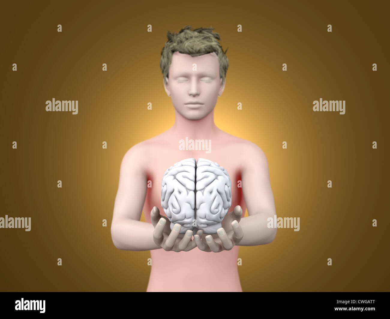 Holding a brain Stock Photo - Alamy