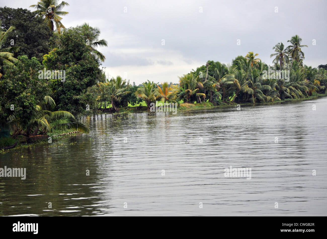 A beautiful scenery of Kerala backwaters Stock Photo - Alamy