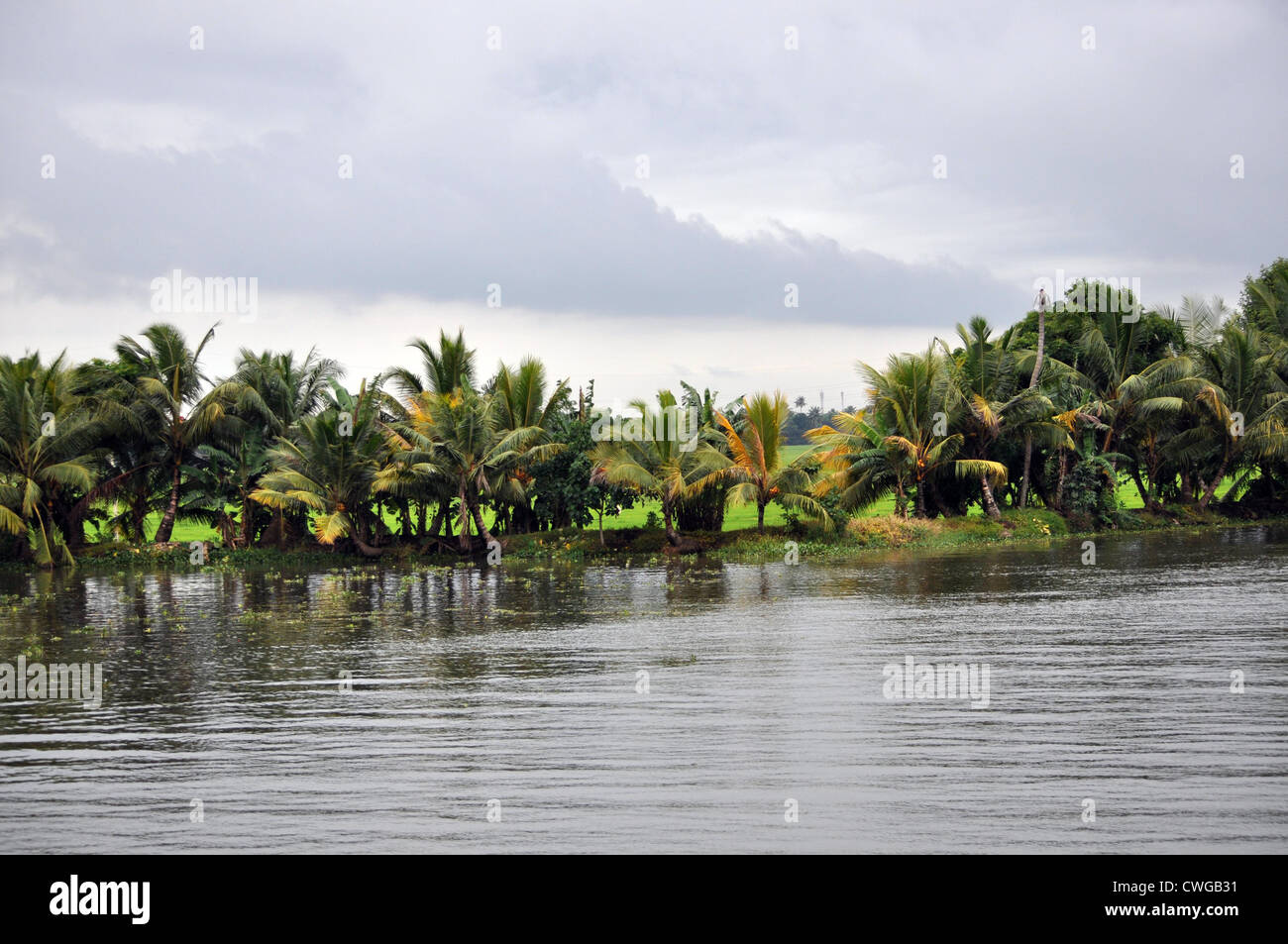 Rainy season in kerala hi-res stock photography and images - Alamy