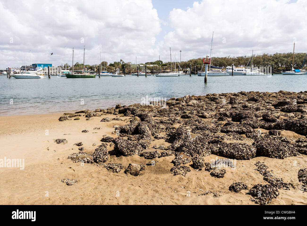 Mooloolaba hi-res stock photography and images - Alamy