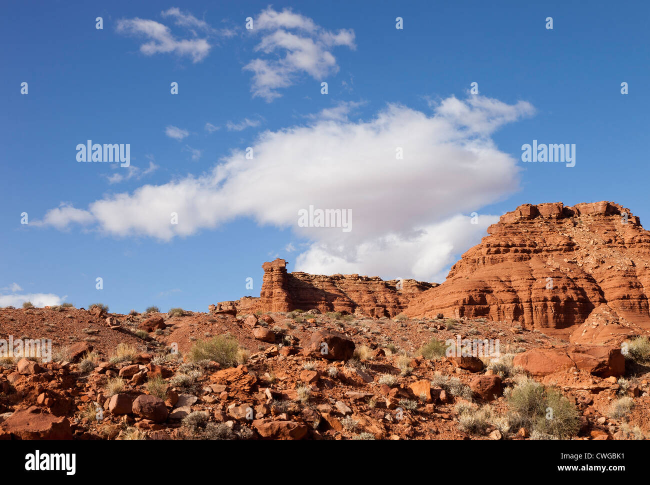 Landscape in the Vermilion Cliffs area in Marble Canyon, northern ...