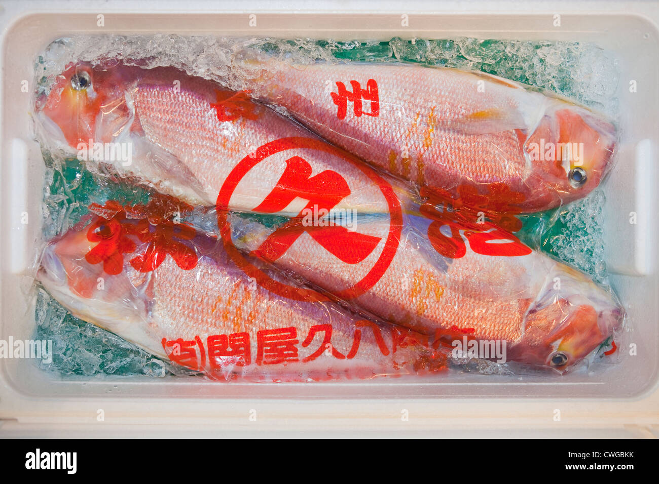 Fish on ice, Tsukiji Fish Market, Tokyo, Japan Stock Photo - Alamy
