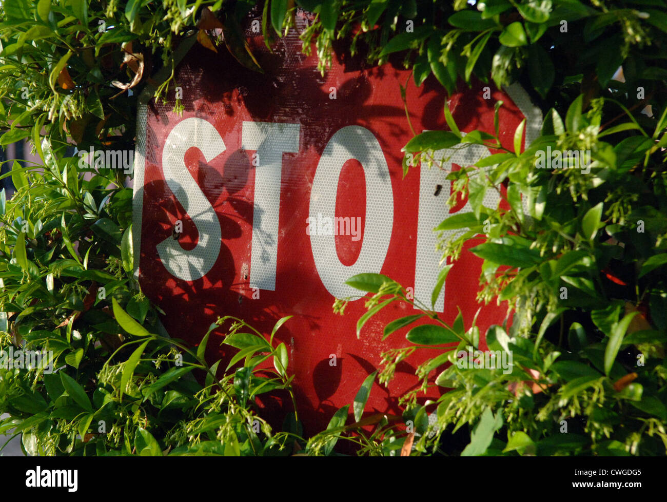Tuscany, stop sign Stock Photo - Alamy