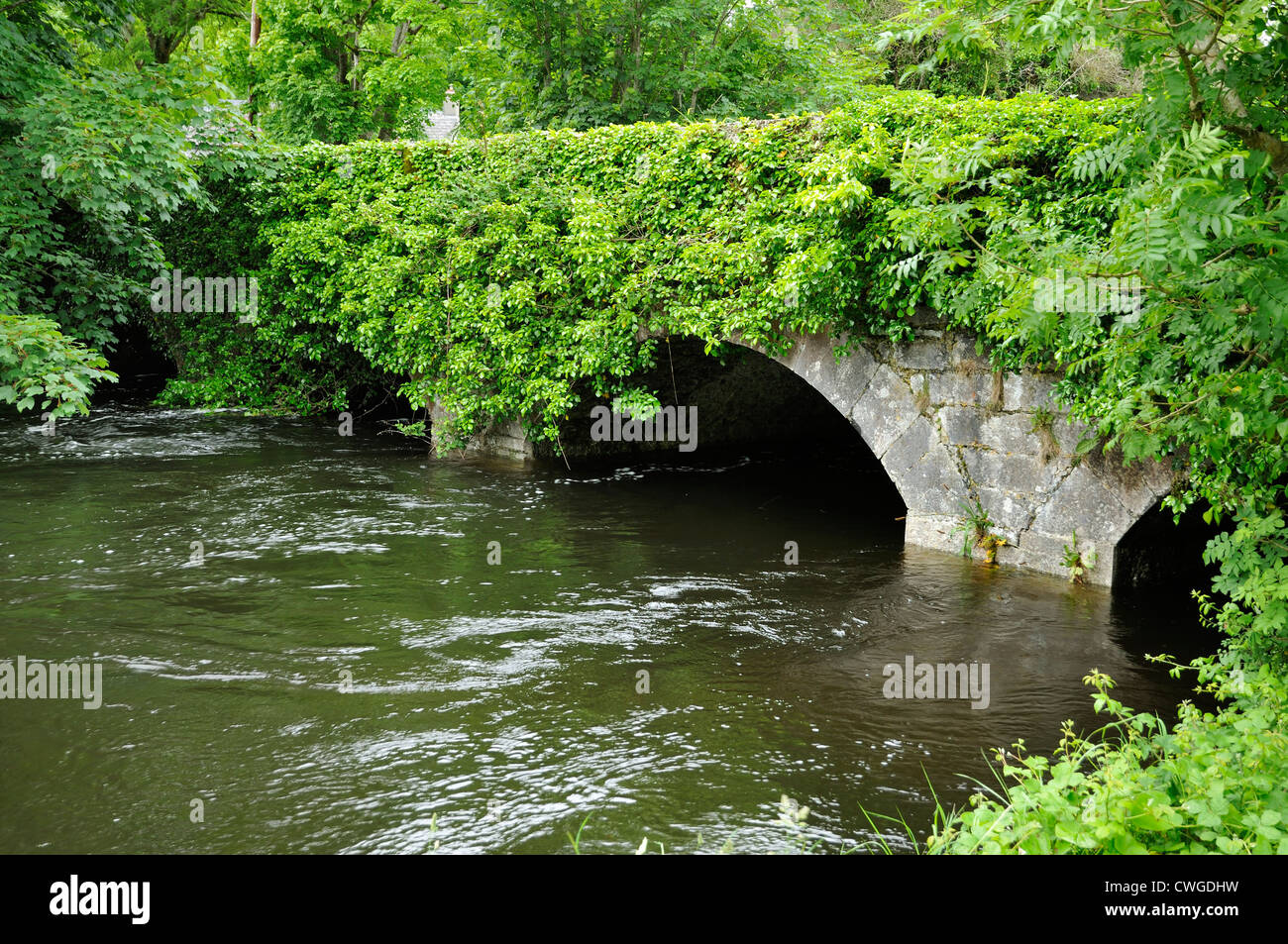 Bridge over River Fergus at Mill Bridge, Killinaboy, The Burren Co ...