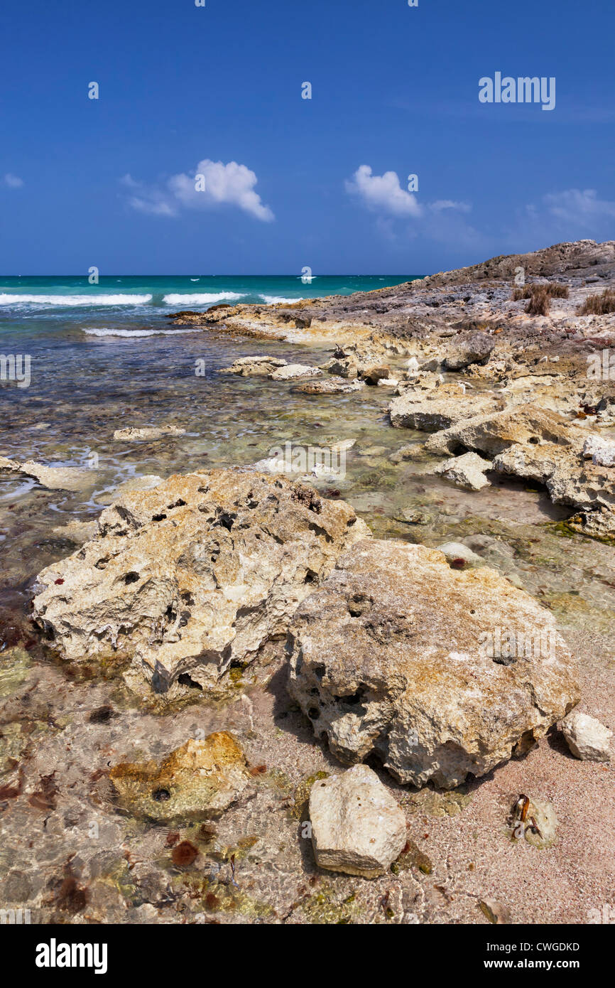 Rocky Shoreline, Tulum, Yucatan Peninsula, Quintana Roo, Mexico Stock ...