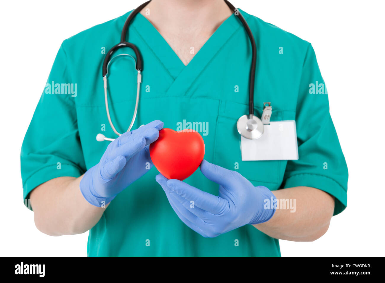 Doctor with stethoscope holding heart in his hands - studio shot Stock ...