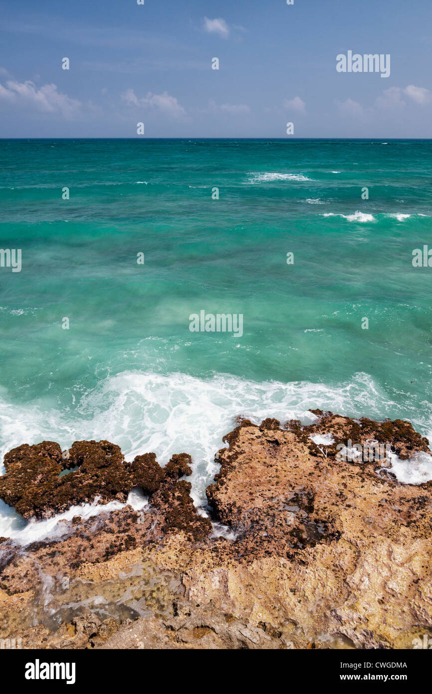 Rocky Shoreline, Tulum, Yucatan Peninsula, Quintana Roo, Mexico Stock ...
