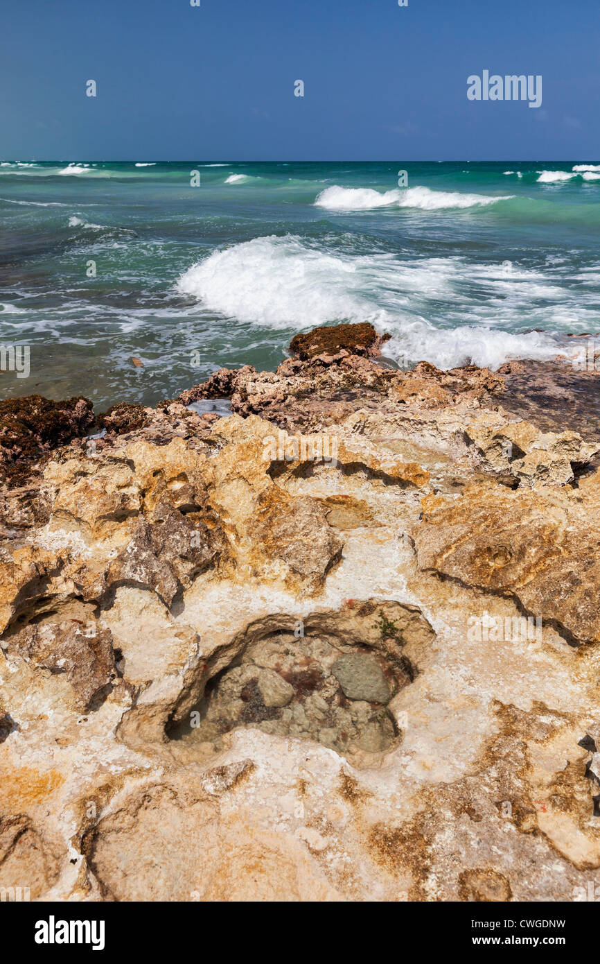 Rocky Shoreline, Tulum, Yucatan Peninsula, Quintana Roo, Mexico Stock ...