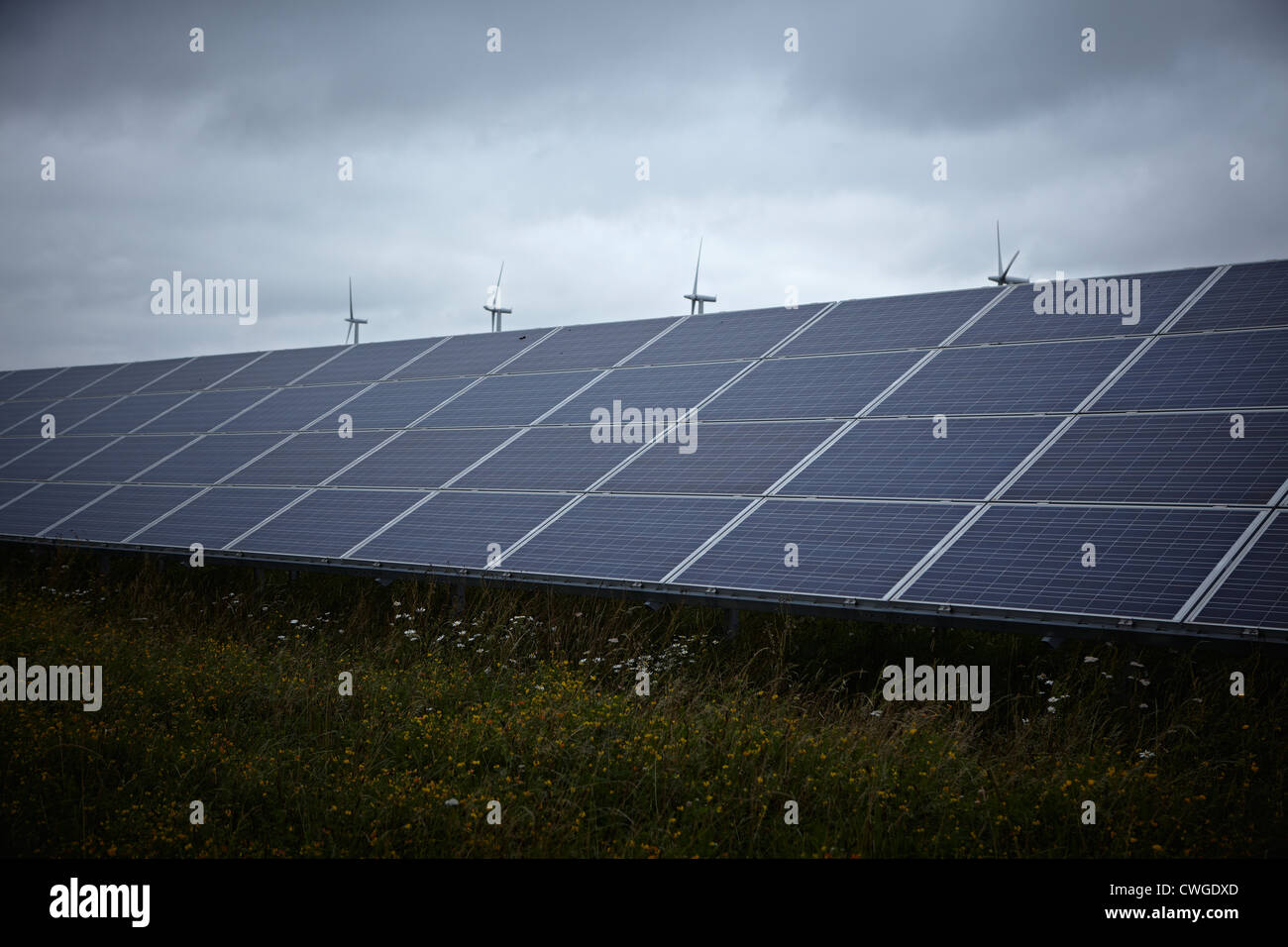 Solar farms hi-res stock photography and images - Alamy