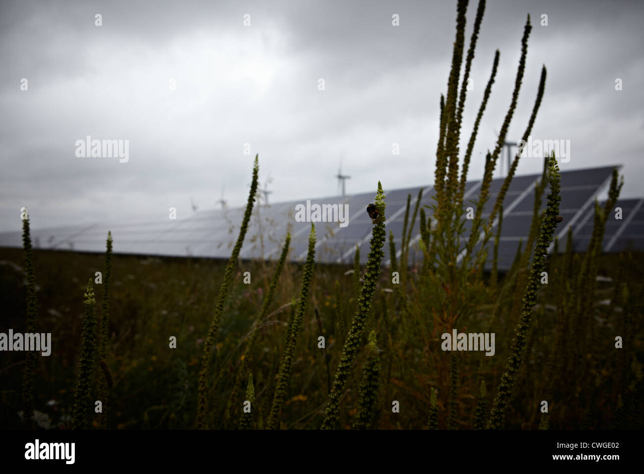 Solar Farm Swindon High Resolution Stock Photography and Images - Alamy