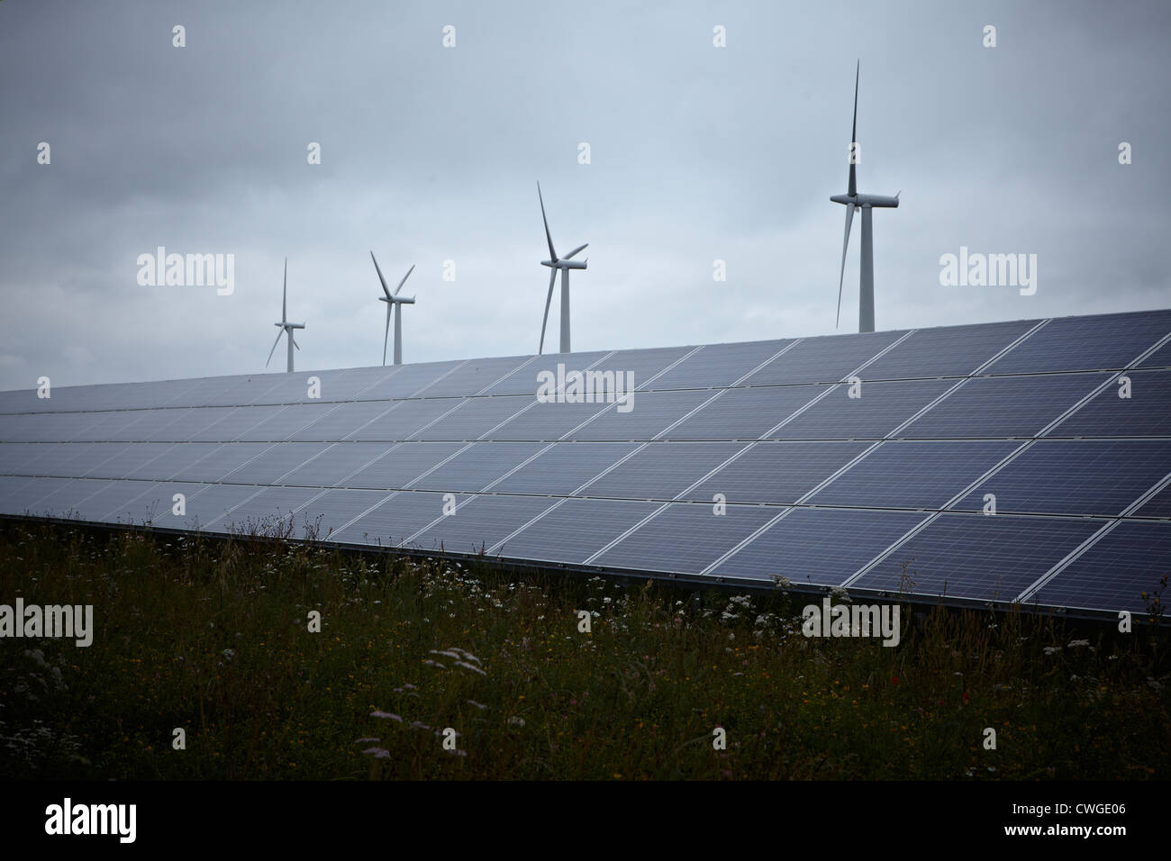Westmill Solar Farm Watchfield near Swindon. Westmill is one of the UK ...