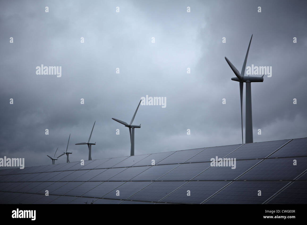 Westmill Solar Farm Watchfield near Swindon. Westmill is one of the UK ...