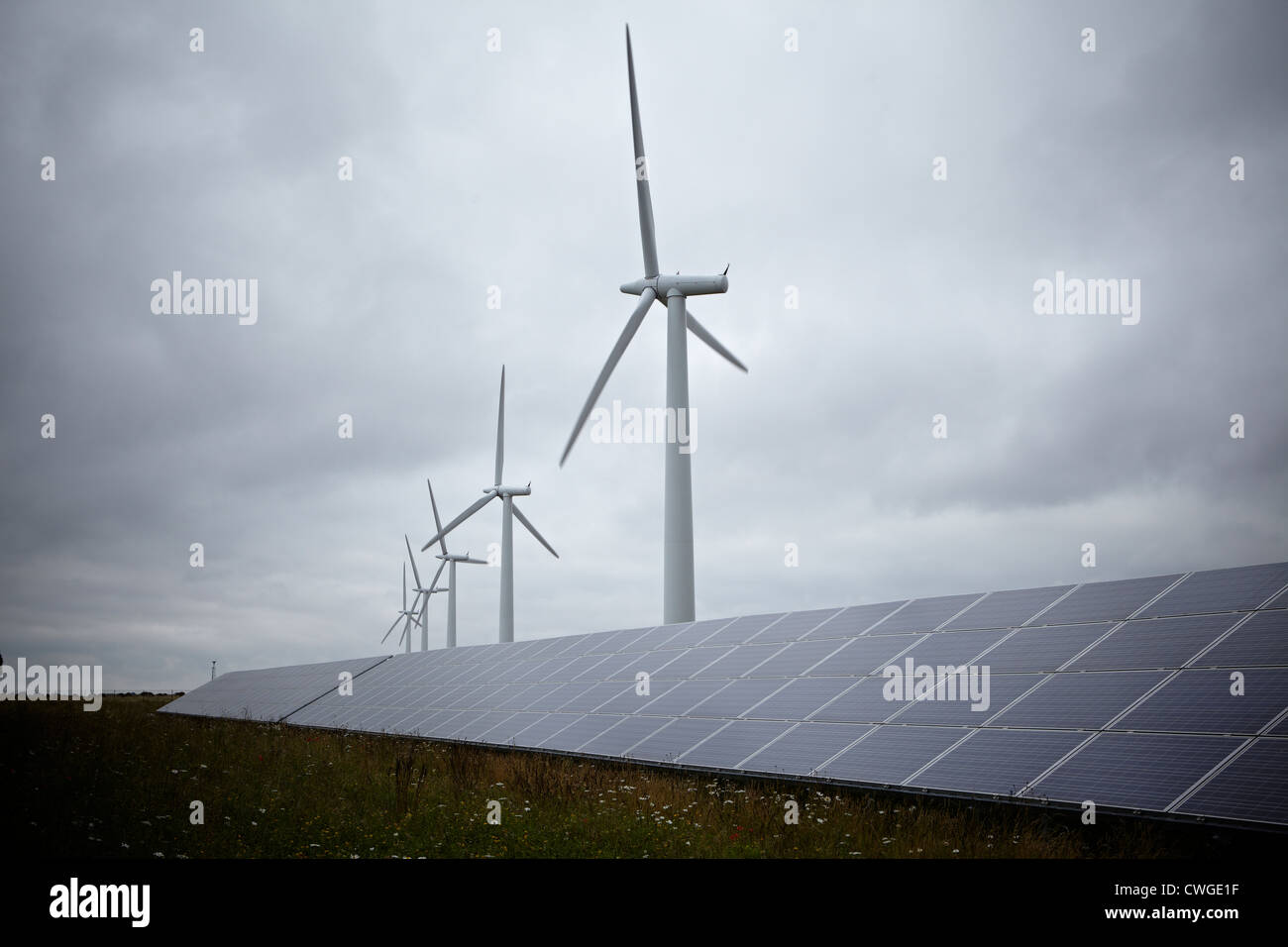 Westmill Solar Farm Watchfield near Swindon. Westmill is one of the UK ...