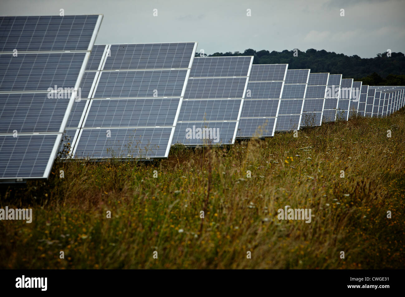 Westmill Solar Farm Watchfield near Swindon. Westmill is one of the UK ...