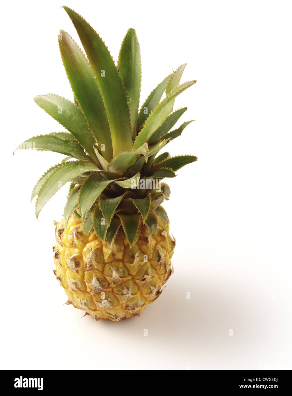 Pineapple isolated on white Stock Photo - Alamy