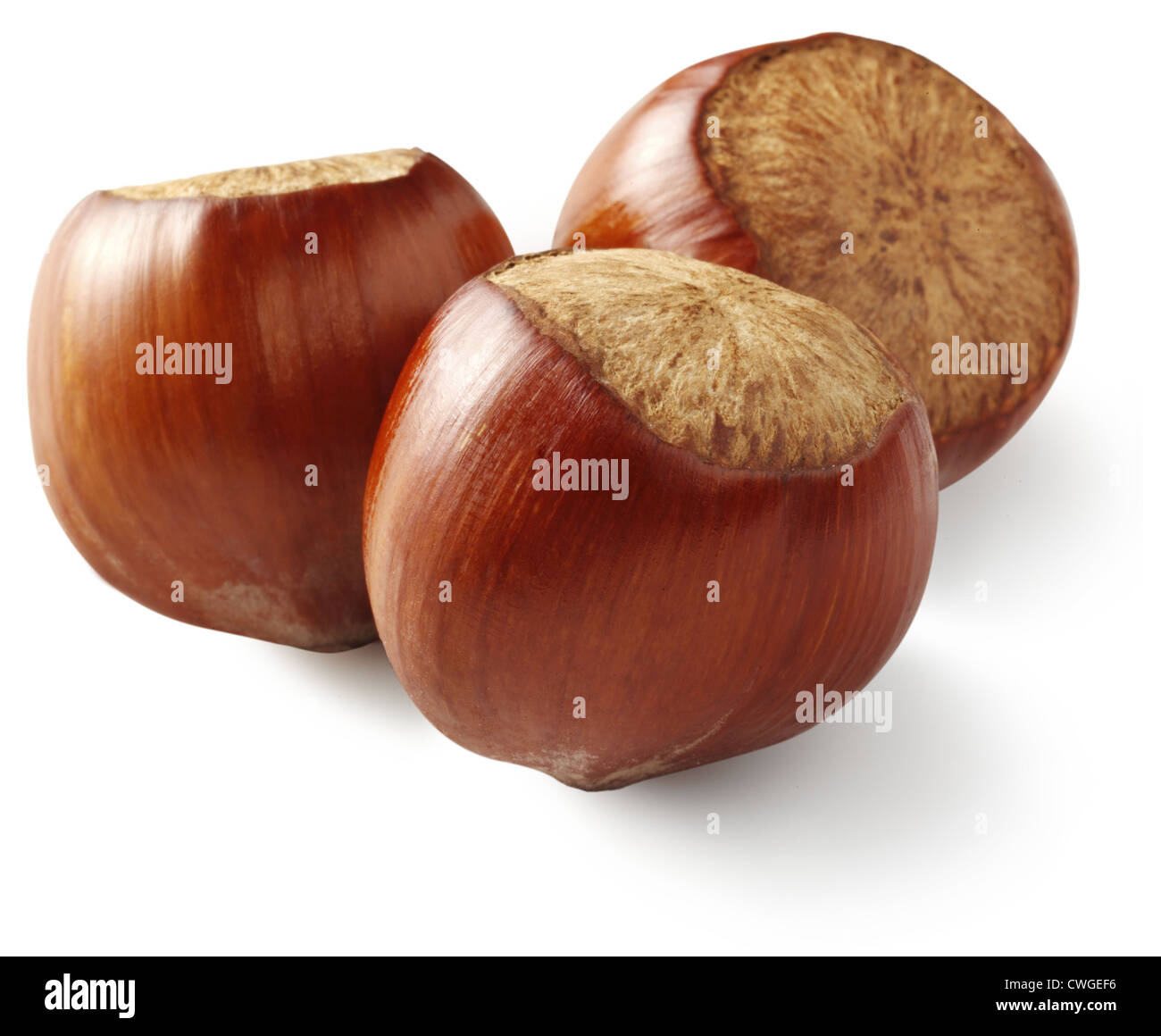 Hazelnuts isolated on white Stock Photo - Alamy