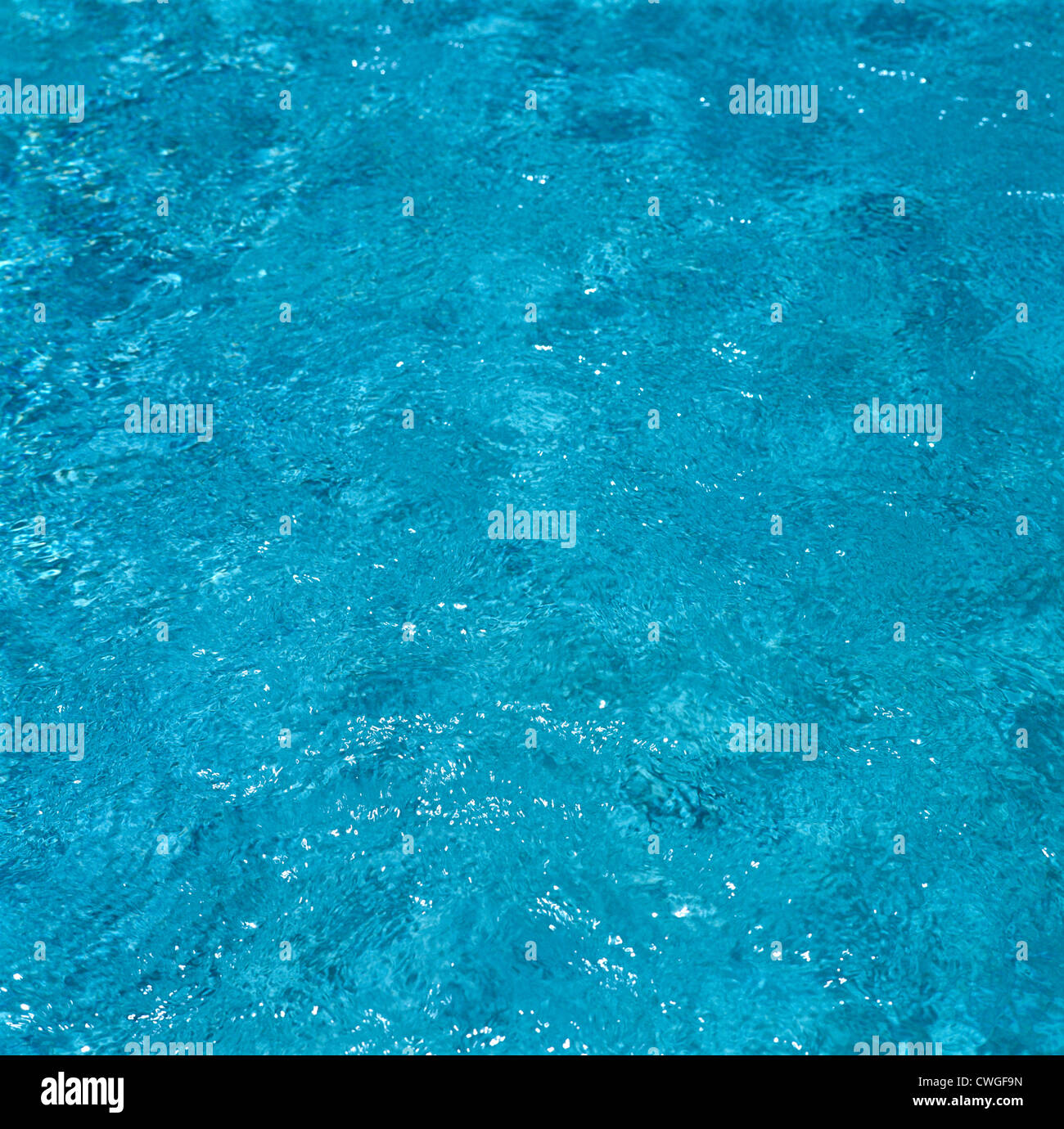 Water - Swimming Pool Caribbean Stock Photo - Alamy