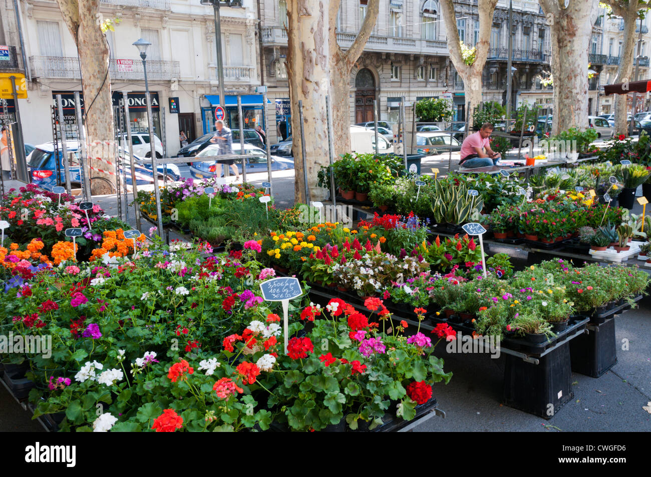 Beziers Flower Market, Allee Paul Riquet, Languedoc, France Stock Photo ...
