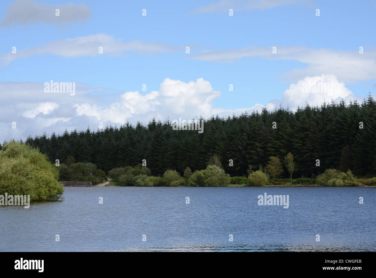 Reservoir surrounded by forest and blue sky Stock Photo - Alamy