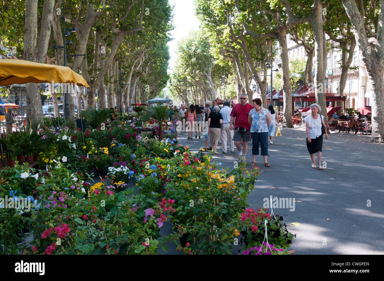 Allee Paul Riquet High Resolution Stock Photography and Images - Alamy