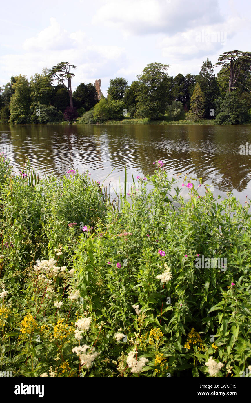 England Dorset Sherborne Sherborne Castle showing the nature beside the ...