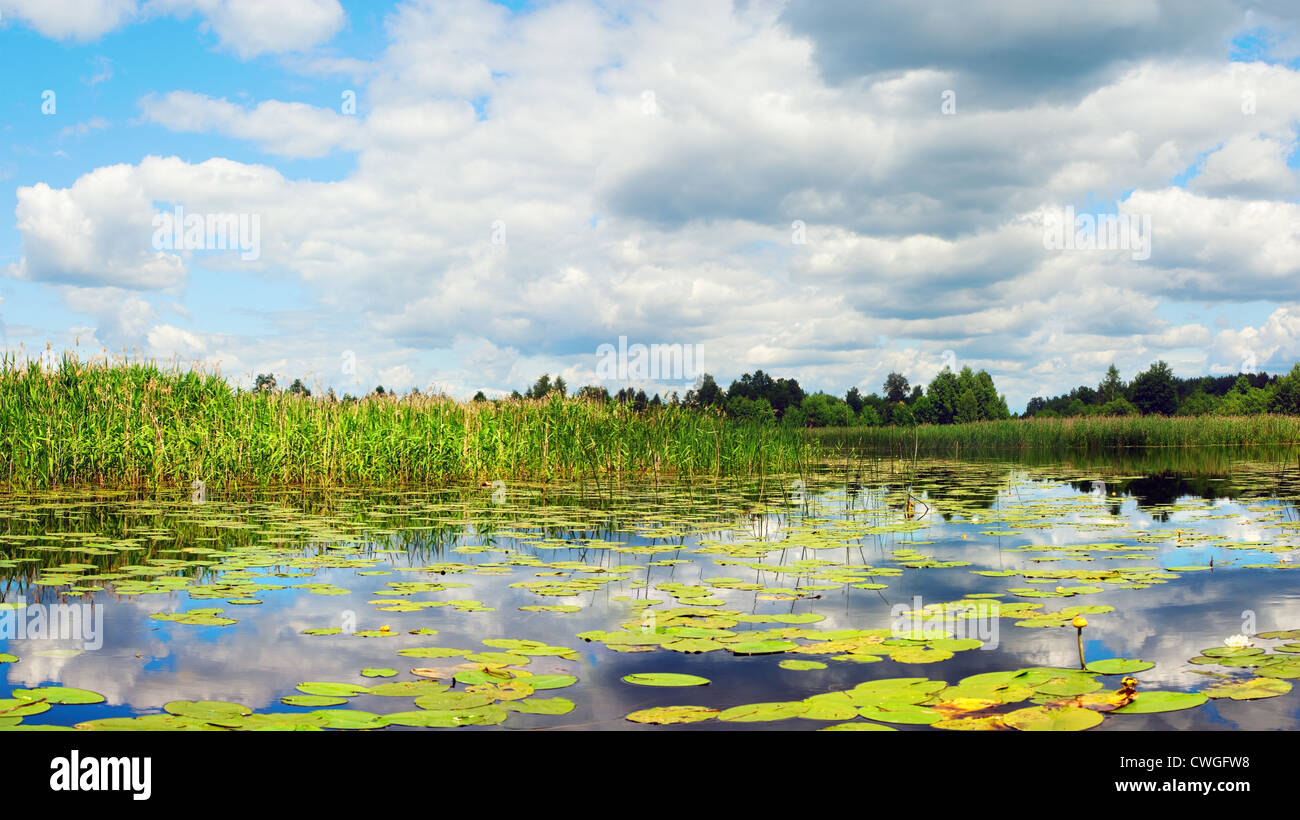 Summer day on lake Stock Photo - Alamy