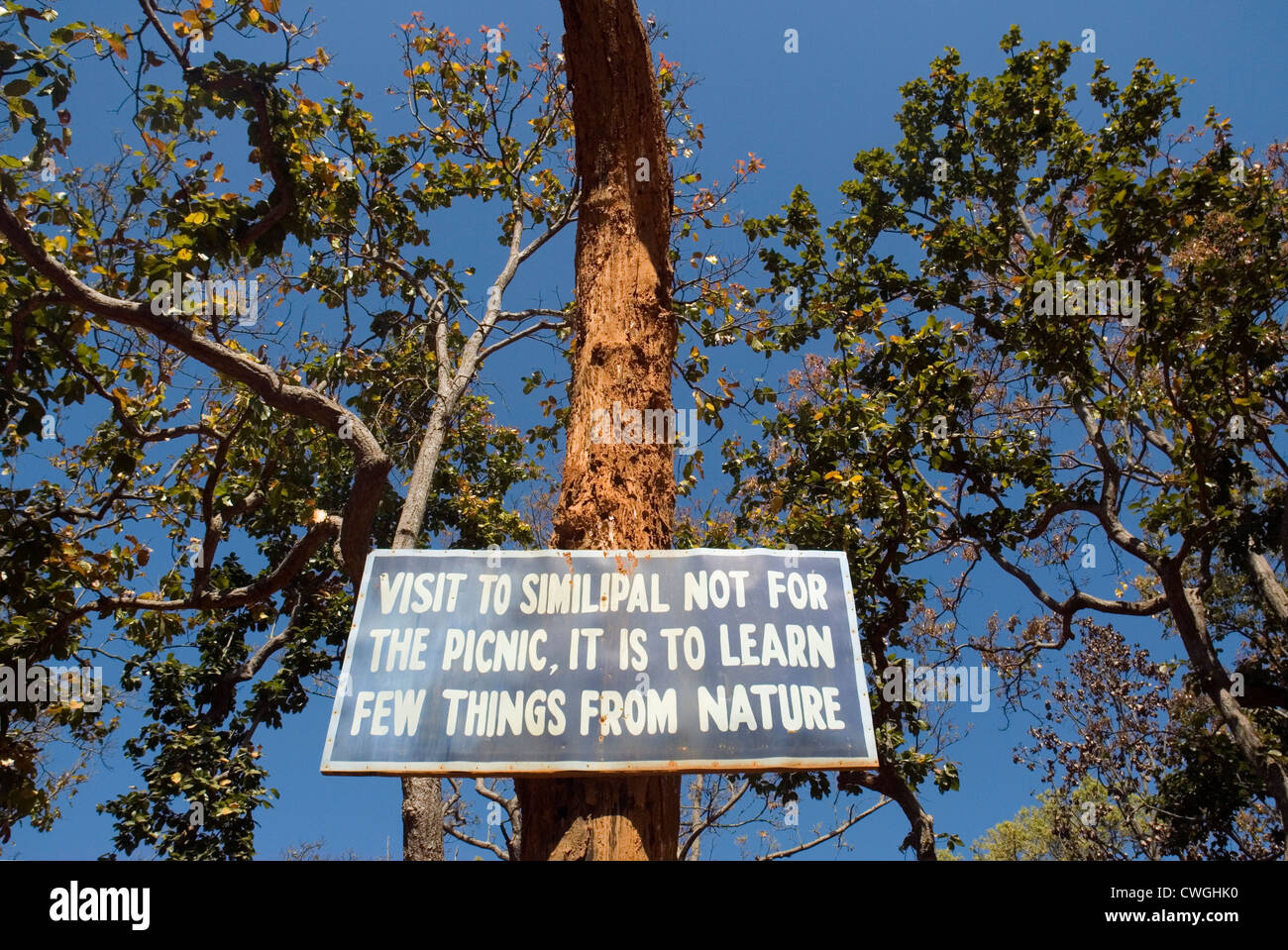 Similipal National Park, Orissa, Odisha, India, South Asia, Asia Stock ...