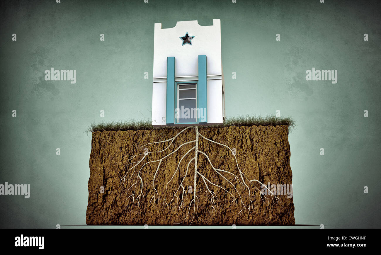 small house with big roots on soil section in old grunge photo Stock ...