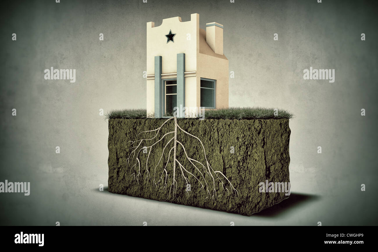 small house with big roots on soil section in old grunge photo Stock ...
