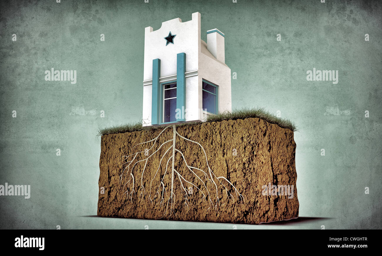 small house with big roots on soil section in old grunge photo Stock ...