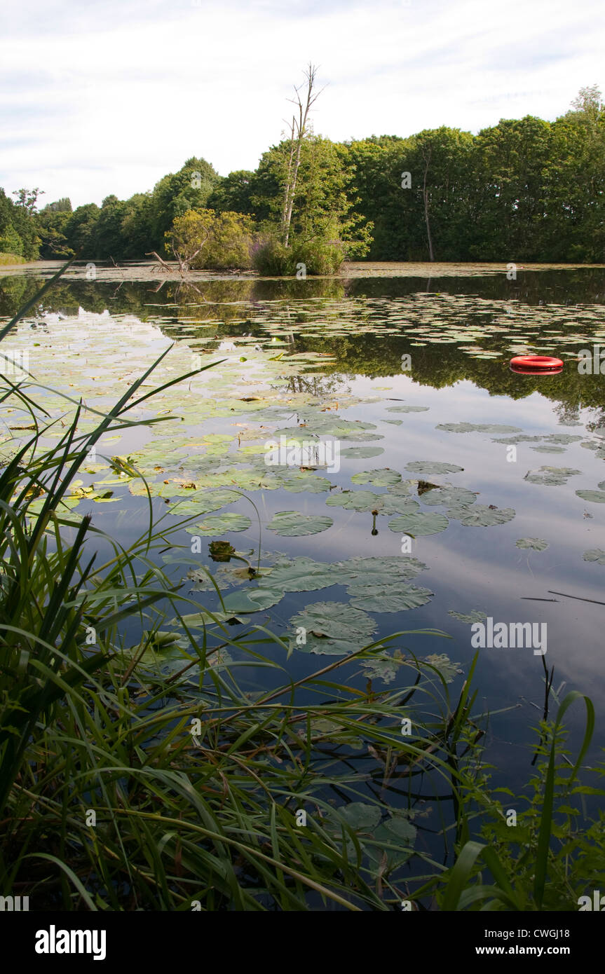 A lake at Colwick Park in Nottingham, England UK Stock Photo - Alamy