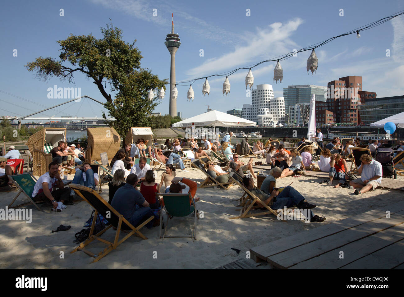 Duesseldorf, Monkey Iceland in the Media Harbour Stock Photo - Alamy