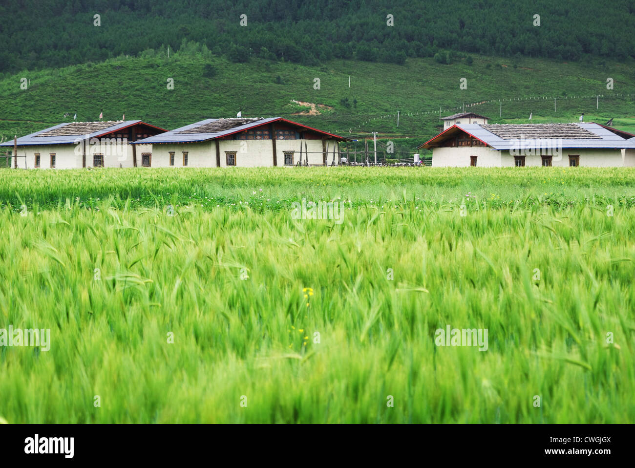 Traditional chinese farm house wall hi-res stock photography and images ...