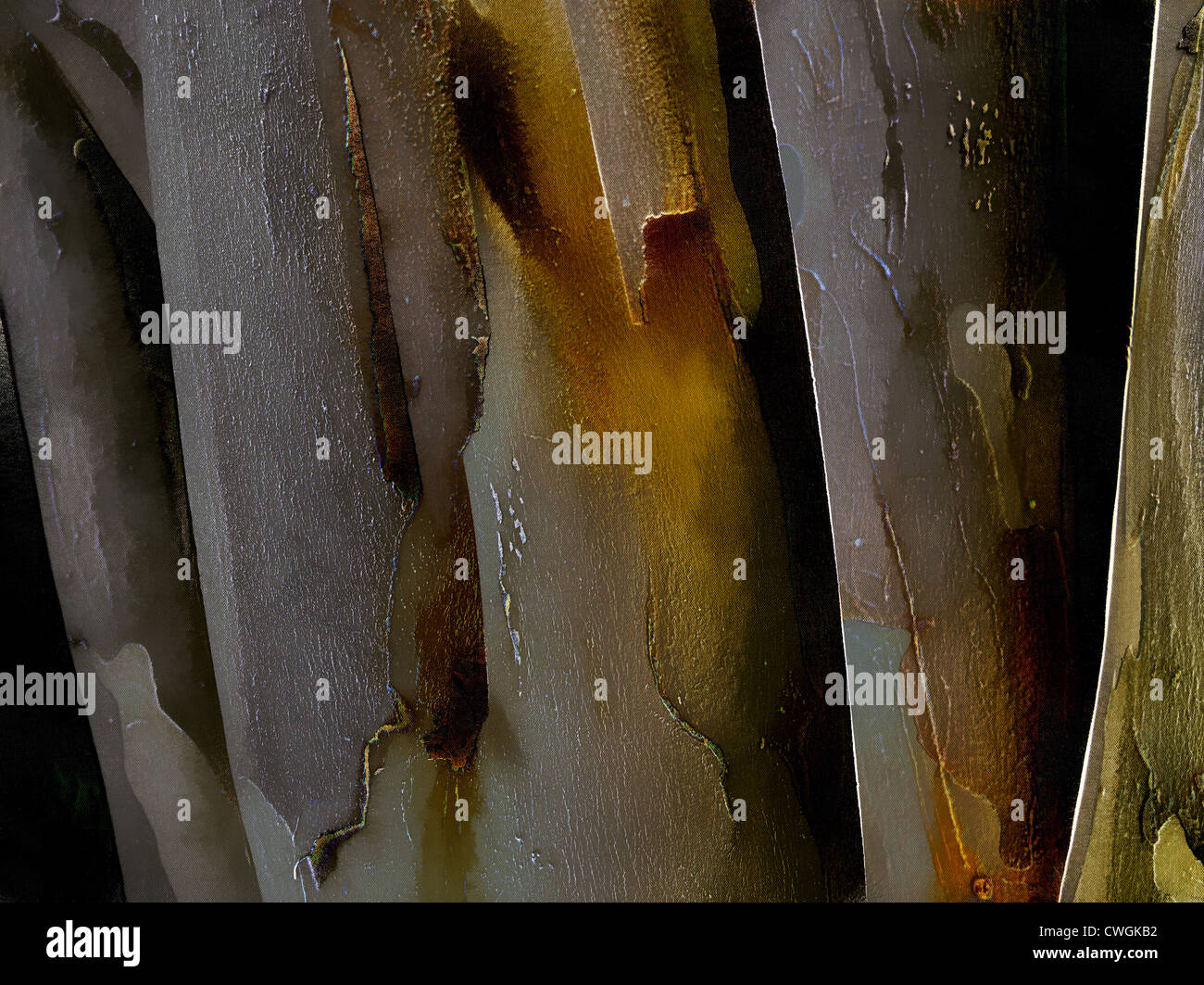 3D Image of white wood tree with pealing bark Stock Photo - Alamy