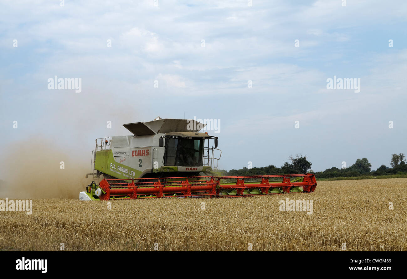 Gathering Crops High Resolution Stock Photography and Images - Alamy