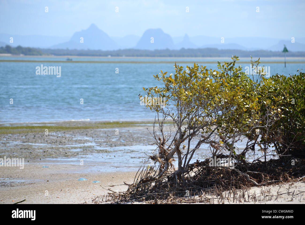 Pumicestone passage glasshouse mountains hi-res stock photography and ...